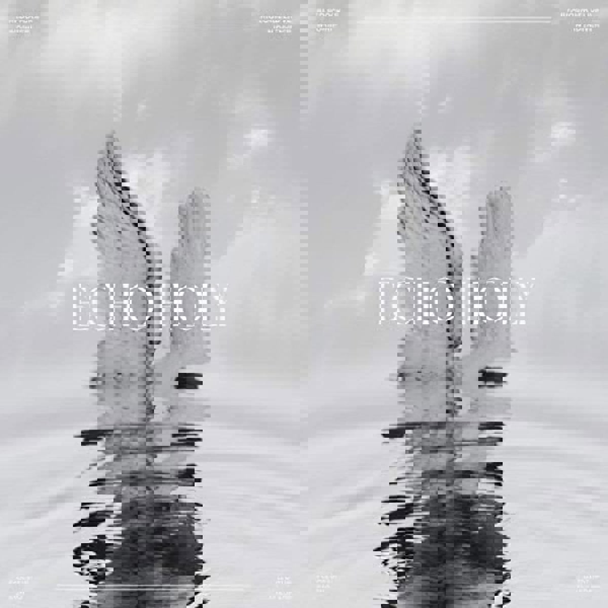 Red Rocks Worship - Echo Holy | Air1 Worship Music