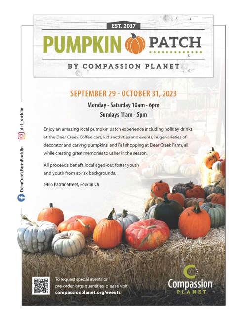 The Pumpkin Patch by Compassion Planet | Positive Encouraging K-LOVE